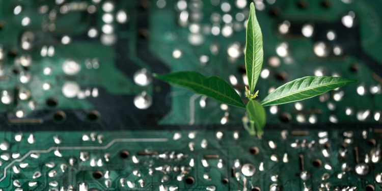 Les nouvelles tendances RSE à surveiller en 2025