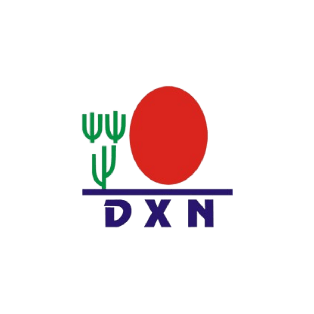 Human Resources & Procurement Manager - Daxen Morocco LLC (DXN Group ...